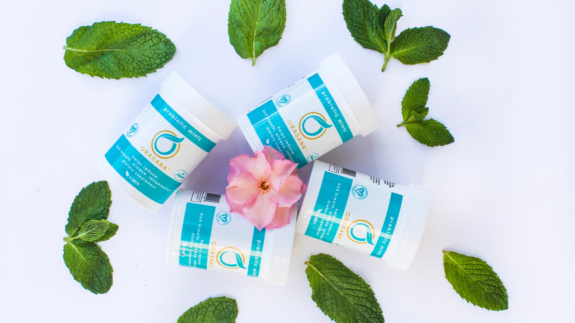Types of probiotics – Orasana® All Natural Oral Health & Wellness